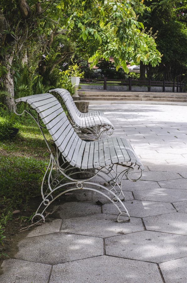 White Bench Under Tree on the Garden. Stock Image - Image of wooden ...