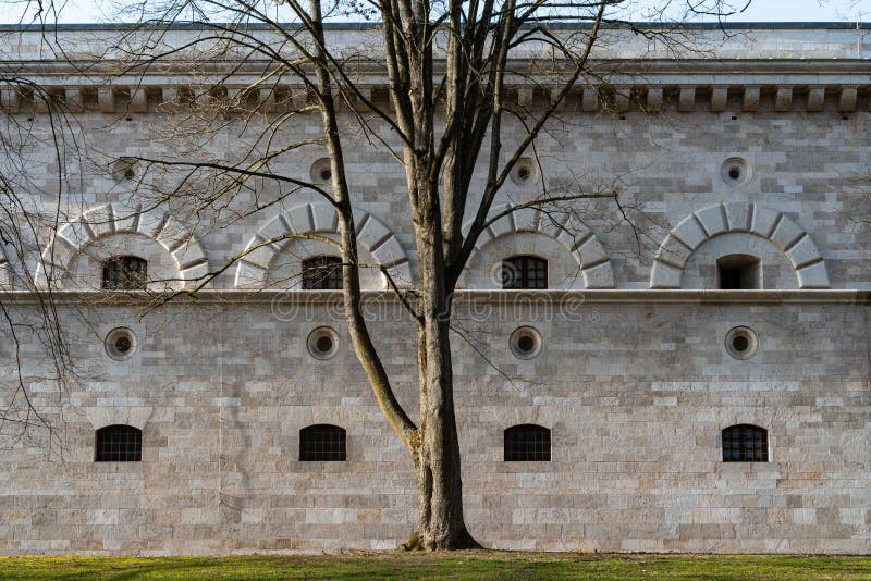 White Big Brick Wall with a Tree in Front Stock Photo - Image of cement ...