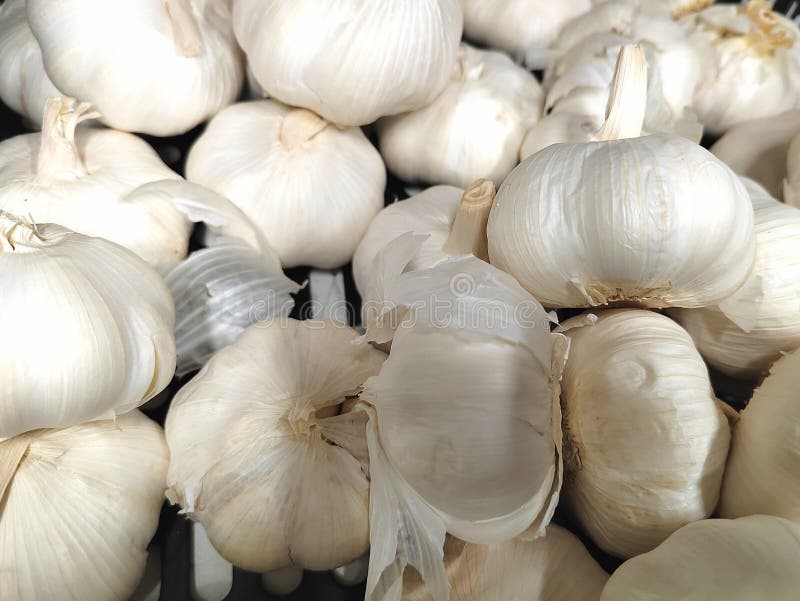 857 Big Garlic Plant Stock Photos - Free & Royalty-Free Stock Photos ...