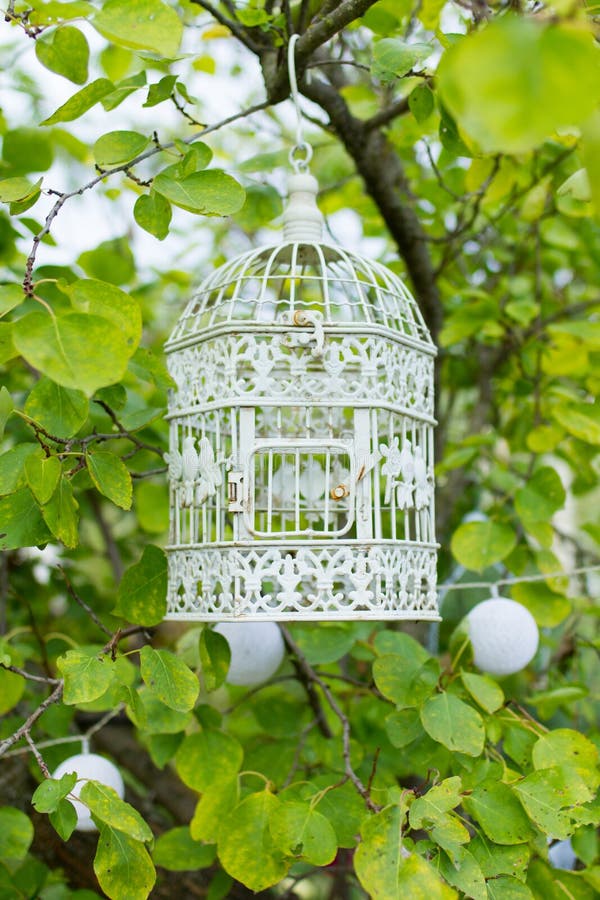 White bird cage stock image. Image of blossom, wedding - 78580759