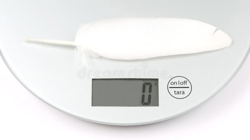 White Bird Feather is Weighed on a Digital Scale Stock Image - Image of ...