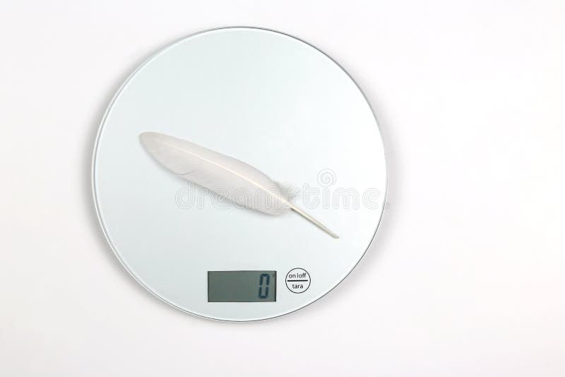 White Bird Feather is Weighed on a Digital Scale Stock Image - Image of ...