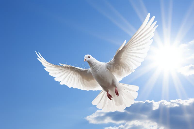 White Bird Flying through a Blue Sky Stock Illustration - Illustration ...