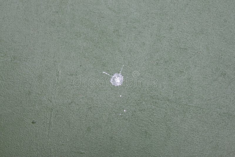 White Bird Shit Drop on Cement Floor. Stock Photo - Image of mess ...