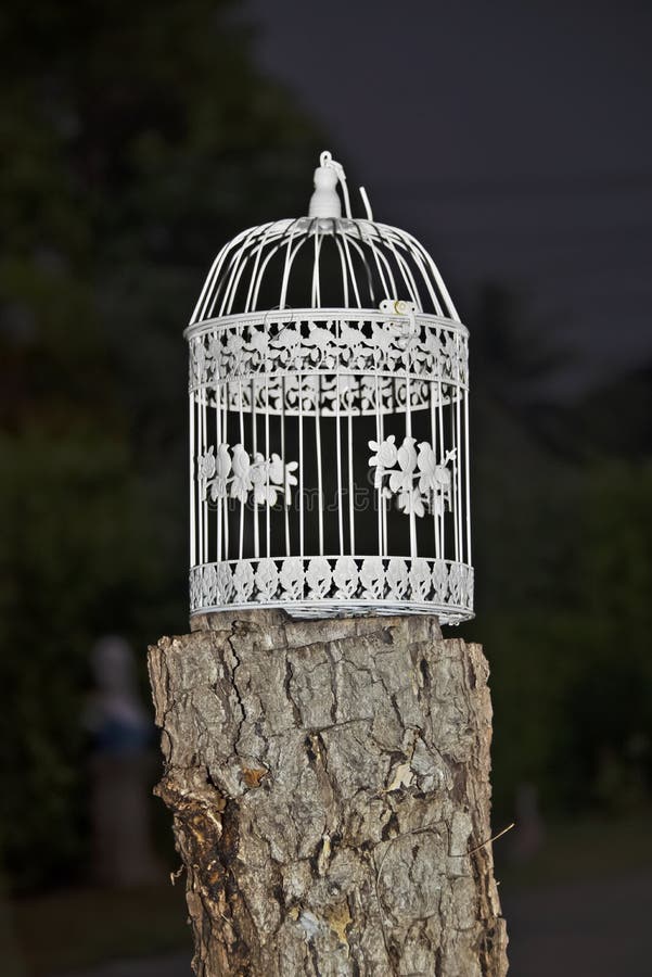The White Birdcage Was Placed on a Large Log Stock Photo - Image of ...