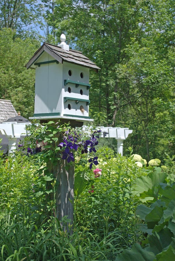 White Birdhouse stock photo. Image of nature, green, trees - 46060252