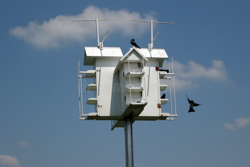 White birdhouse stock photo. Image of build, aerial - 193852308