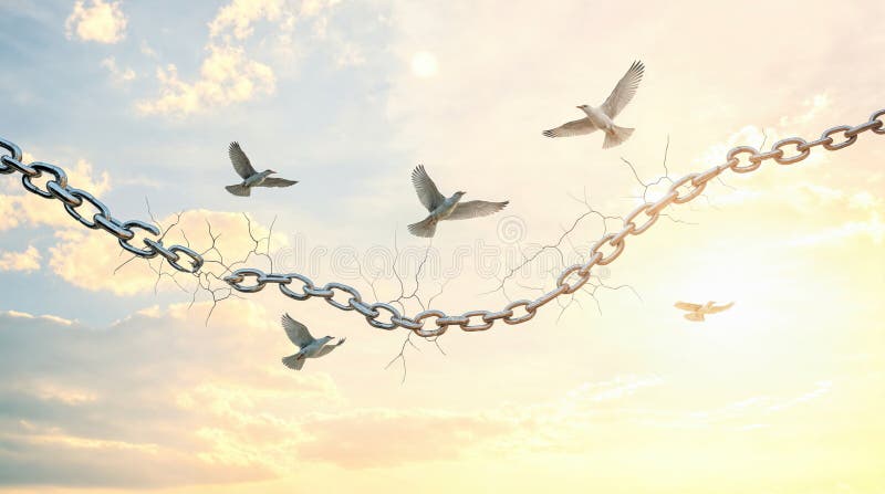White Birds Flying through a Cracked Chain Stock Illustration ...