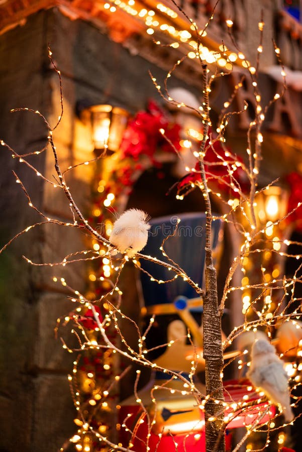 White Birds are Sitting on a Tree with Christmas Lights on the ...