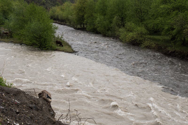 Two rivers Meet stock image. Image of rivers, calm, skies - 103854661