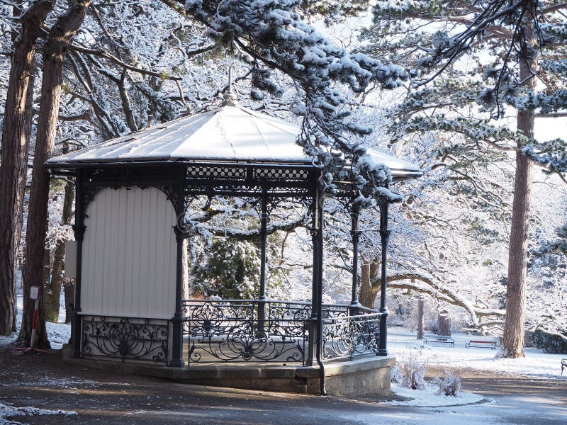 White And Black Canopy On Snow Forest Stock Image - Image of landscape ...