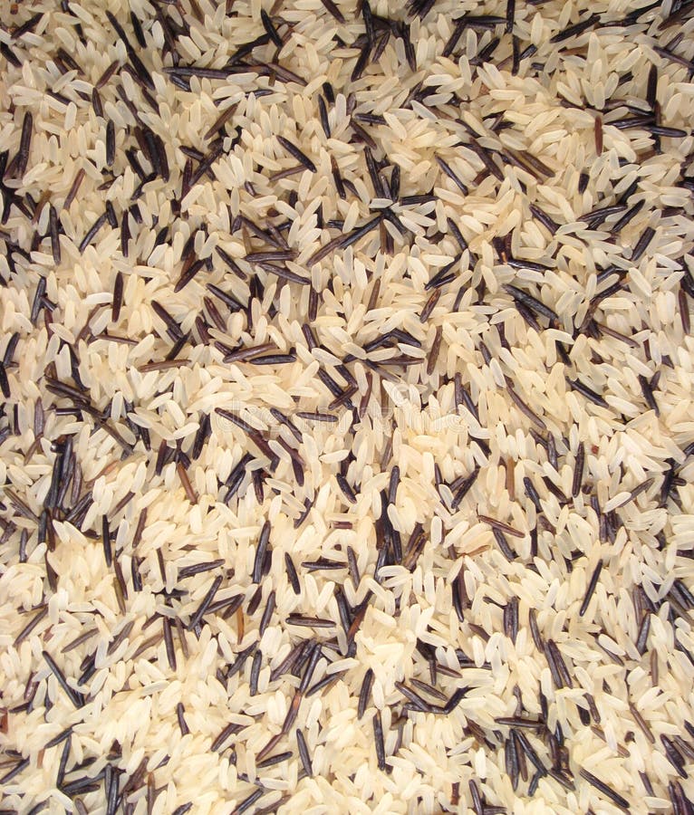 White and black rice stock photo. Image of plant, asian - 3649612