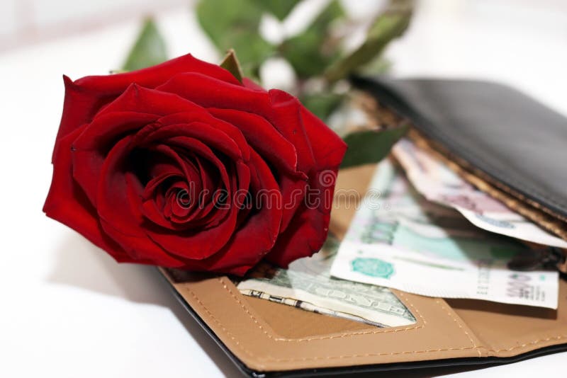 White and Black Rose and Money Stock Image - Image of note, flirting ...