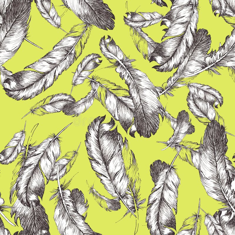 White and Black Sketch Illustration of Bird Feathers on Olive Color ...