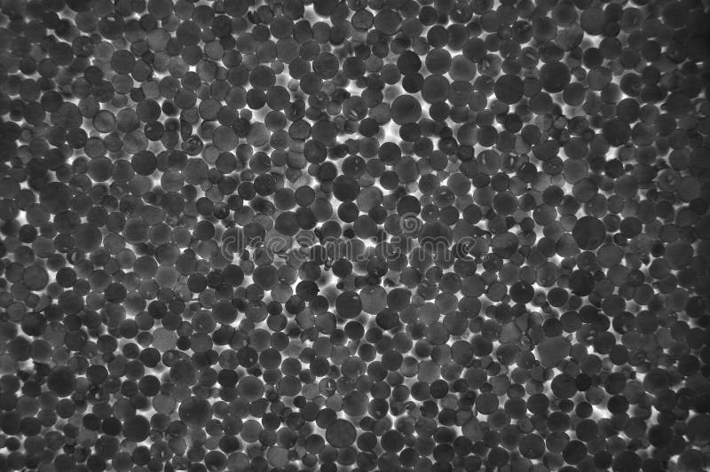 White and Black Styrofoam Surface Background Texture Closeup Detail ...