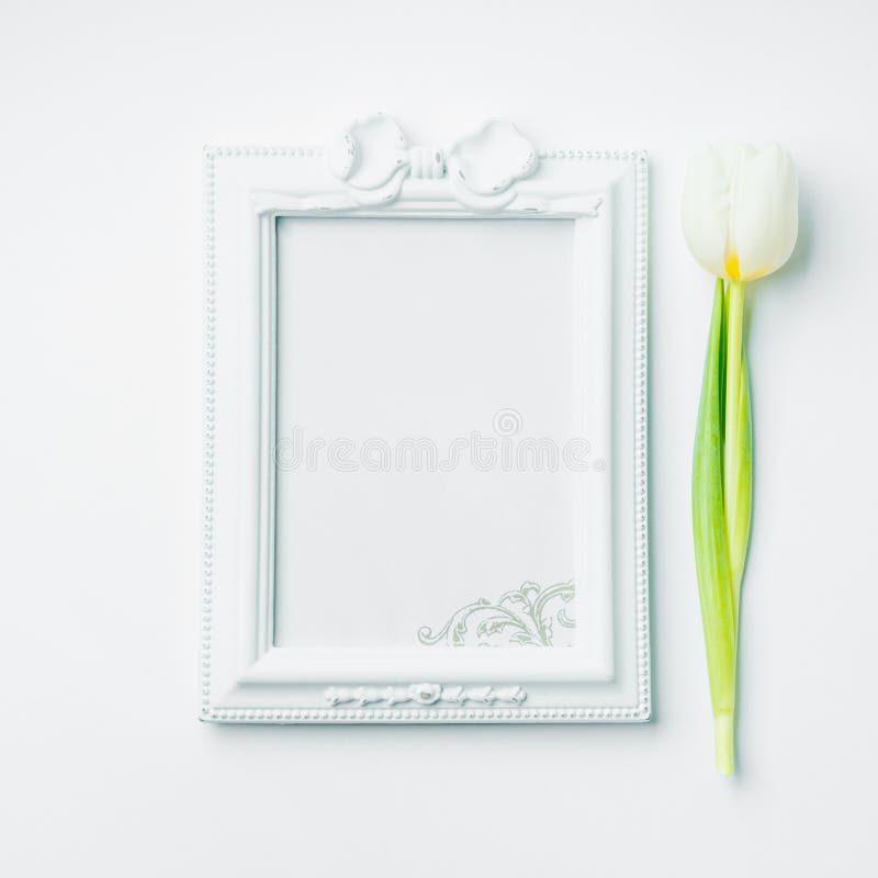White Blank Frame and Tulip for Greetings Stock Photo - Image of ...