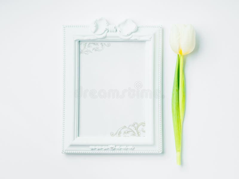 White Blank Frame and Tulip for Greetings Stock Image - Image of march ...