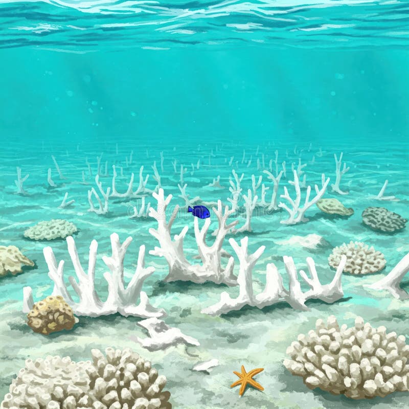 White Bleached Corals and Lonely Blue Fish. Stock Photo - Image of ...