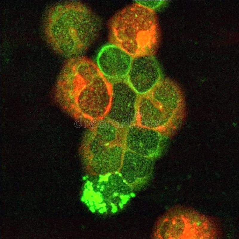 Ancient cuneiform writing stock photo. Image of handmade - 5758874