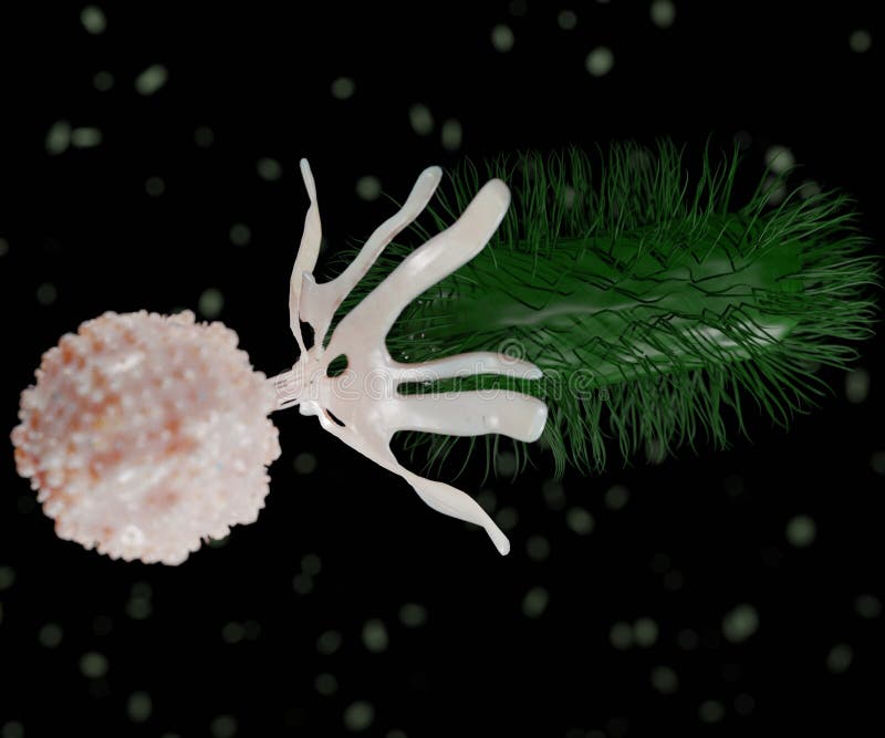White Blood Cells Attack Bacteria Cell 3d Rendered Stock Illustration ...
