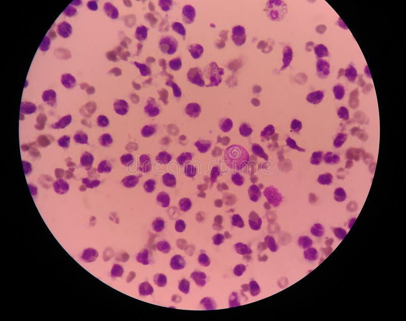 White Blood Cells Medical Science Background. Stock Illustration ...