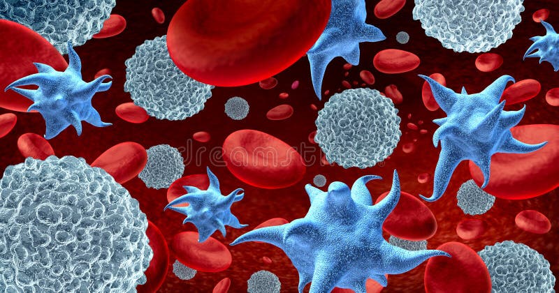 White Blood Cells and Platelets Stock Illustration - Illustration of ...