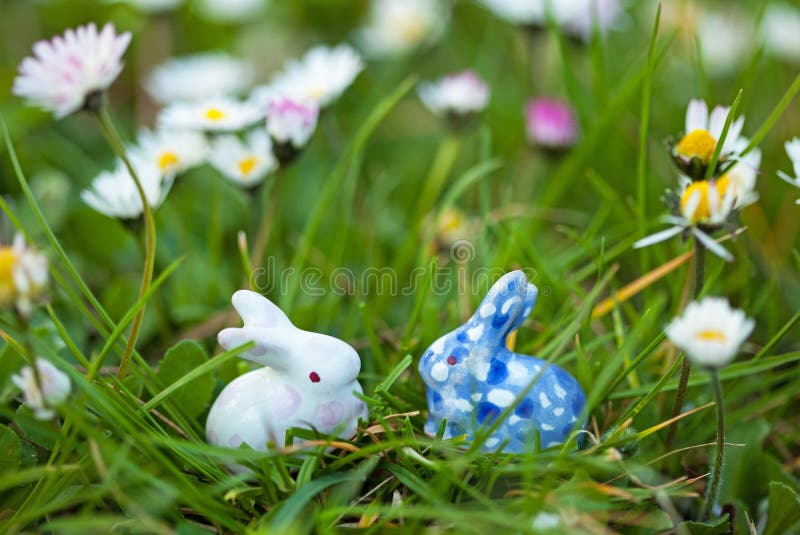 White and blue rabbit stock image. Image of happy, grass - 39074223