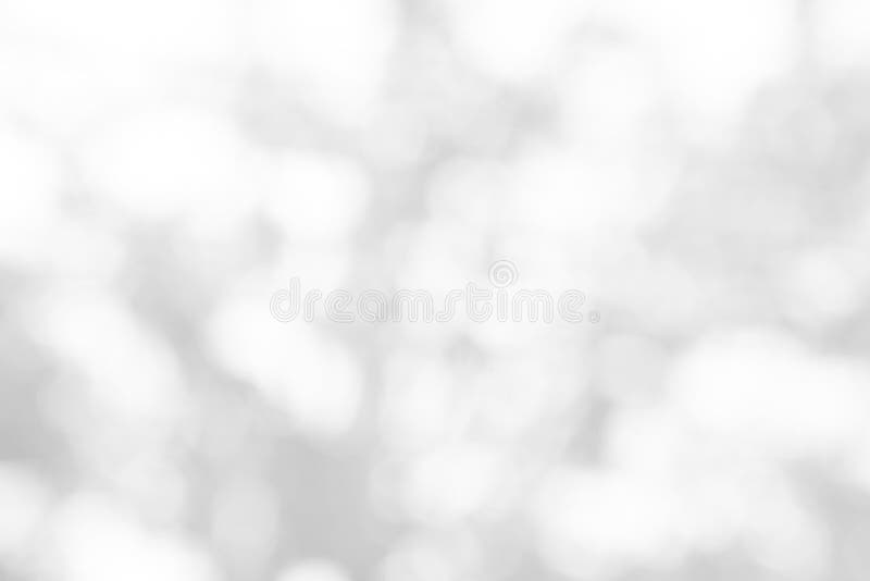 White Blur Abstract for Background Stock Image - Image of christmas ...