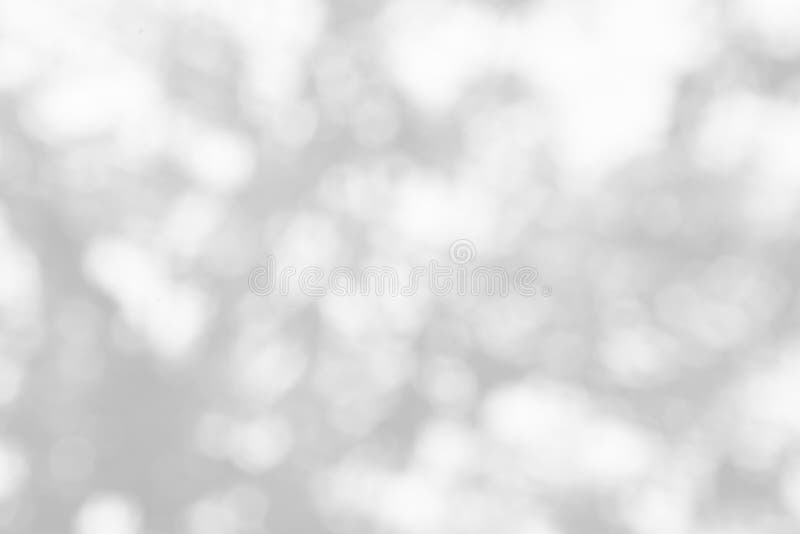 White Blur Abstract for Background Stock Photo - Image of christmas ...