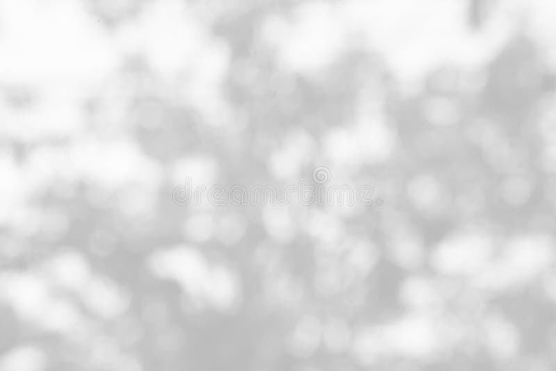 White Blur Abstract for Background Stock Image - Image of greeting ...