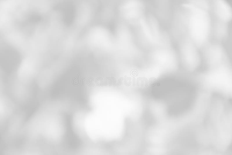 White Blur Abstract for Background Stock Image - Image of texture ...