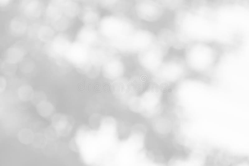 White Blur Abstract for Background Stock Image - Image of christmas ...