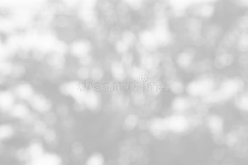 White Blur Abstract for Background Stock Image - Image of shining, dark ...