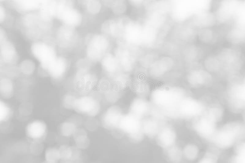 White Blur Abstract for Background Stock Photo - Image of lighting ...