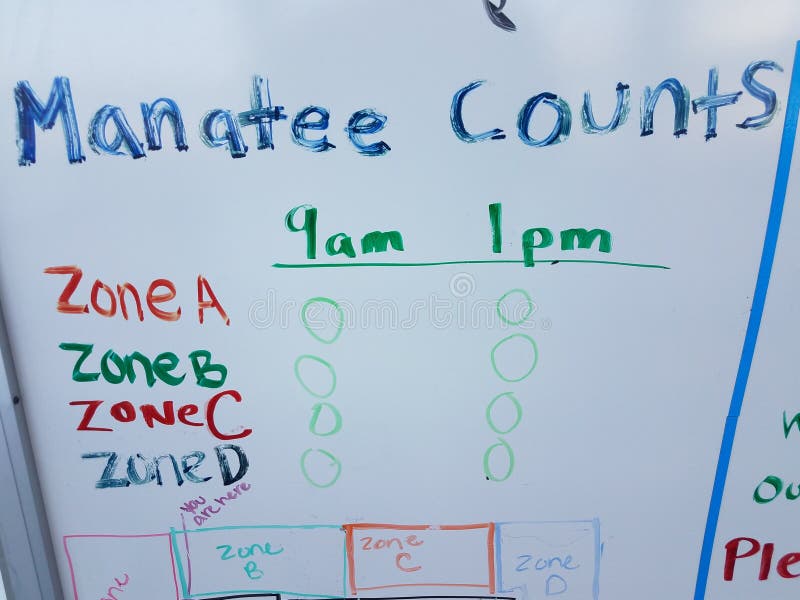 White Board with Writing Showing Manatee Counts Stock Image - Image of ...