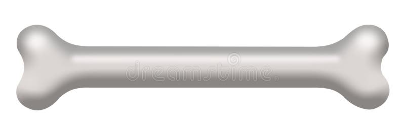 Femur bone pencil drawing stock photo. Image of background - 35006426