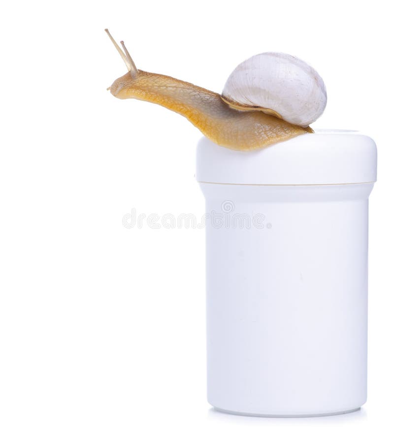 White Bottle Cream with Snail Stock Image - Image of pest, healthy ...