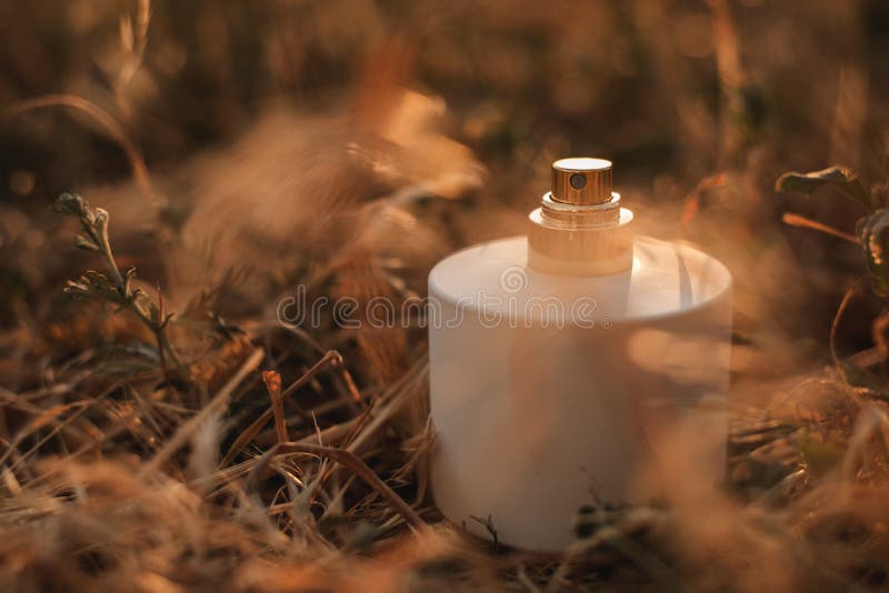 White bottle of perfume stock image. Image of liquid - 93850259