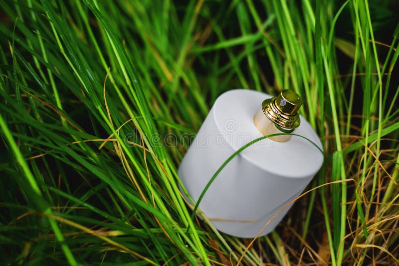 White Bottle of Perfume Over Green Stock Image - Image of bottle ...