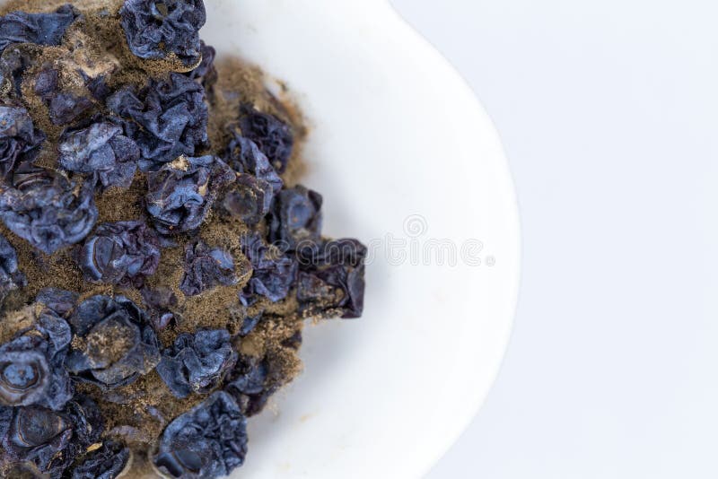 263 Berries Rot Photos - Free & Royalty-Free Stock Photos from Dreamstime