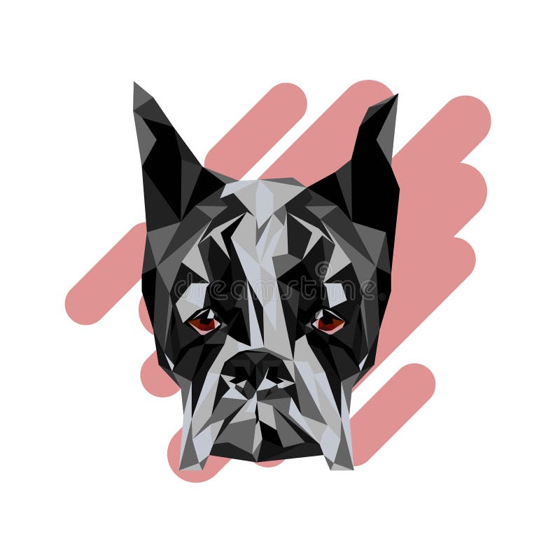 White Boxer Dog. Triangle Vector Stock Vector - Illustration of ...