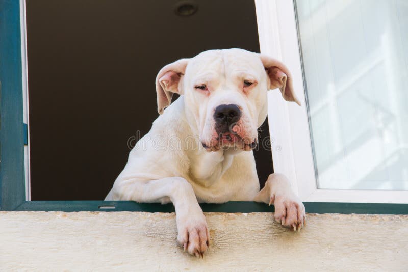 Nevena Mladzhova (Veny) - Photographer profile