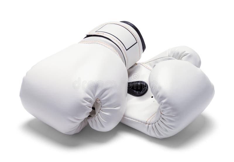 White Boxing Gloves stock photo. Image of view, glove - 246183288