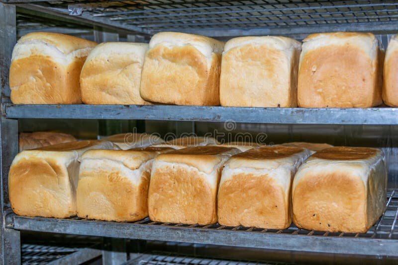 White Bread Fresh Out of the Bakery Oven Stock Photo - Image of ...