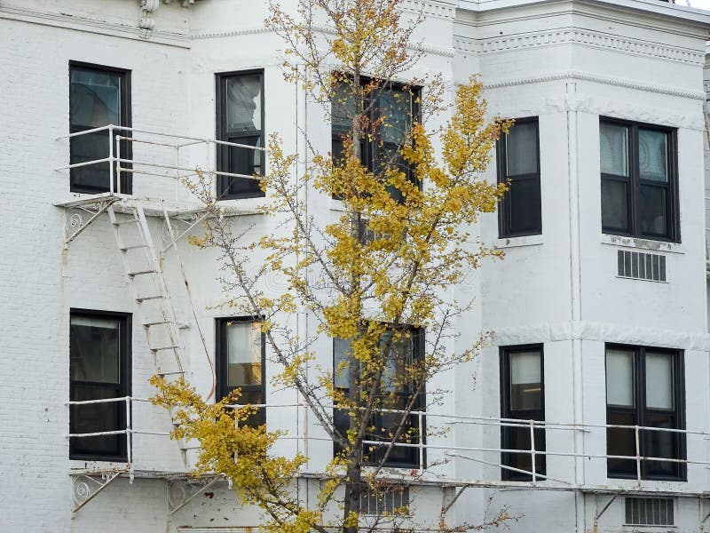 White Brick Building and Yellow Fall Leaves Stock Image - Image of ...