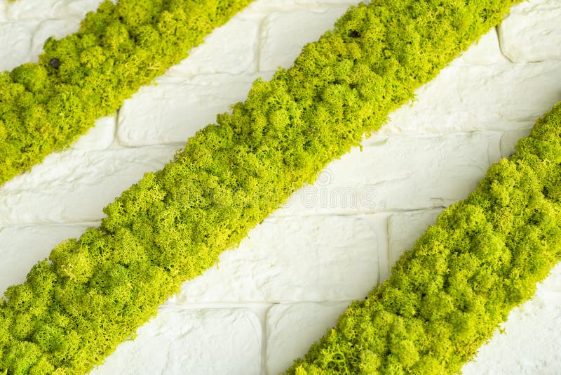 White Brick Wall with Stripes of Green Artificial Moss Stock Image ...