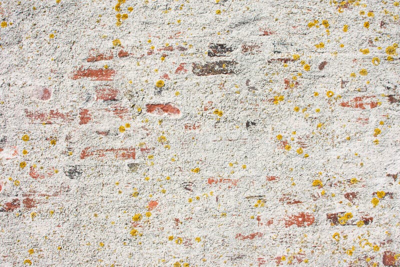 Fading Rectangle Stock Photos - Free & Royalty-Free Stock Photos from ...