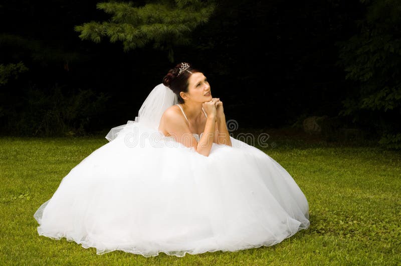 White Bride stock image. Image of female, love, summer - 8493045