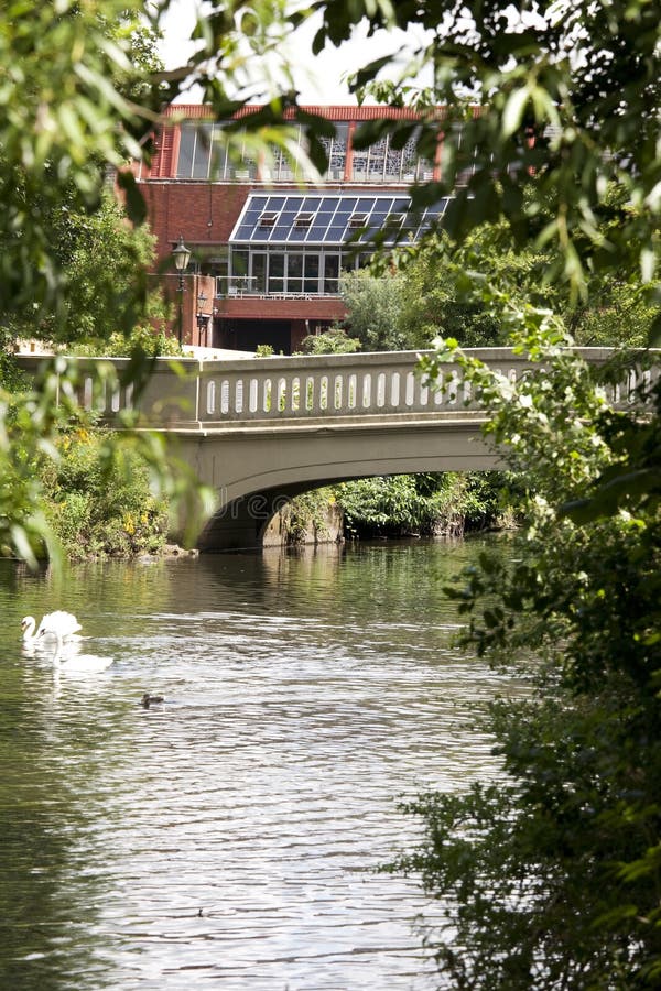 White bridge stock photo. Image of calm, summer, landscape - 10253640