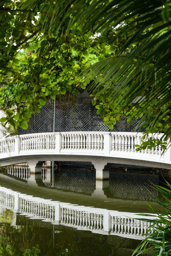 White bridge in the forest stock photo. Image of architecture - 53518114